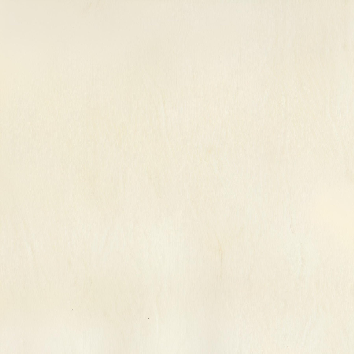 Ref: 0005198 Parchemin d'Agneau, naturel artisanal Français, existe en ...